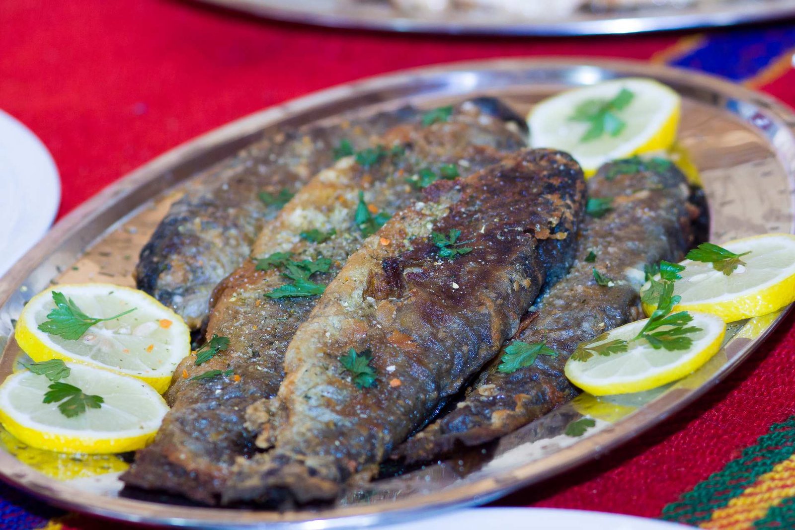 Kolasin: Misko's Cheese Farm | TOURISM IN VILLAGES