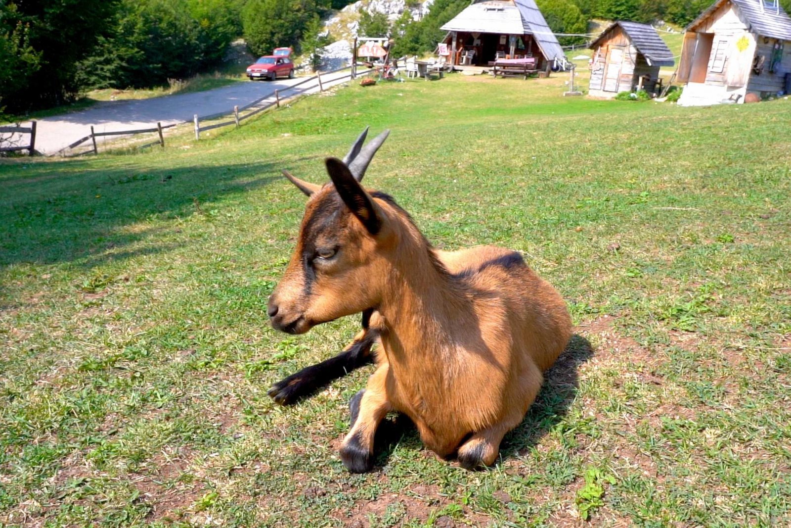 Žabljak: Eco Katun Durmitor | TOURISM IN VILLAGES