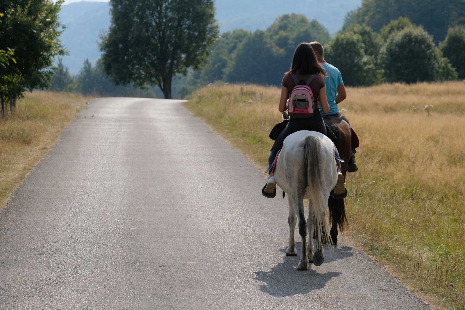 Žabljak: Eko katun Durmitor | TURIZAM NA SELU